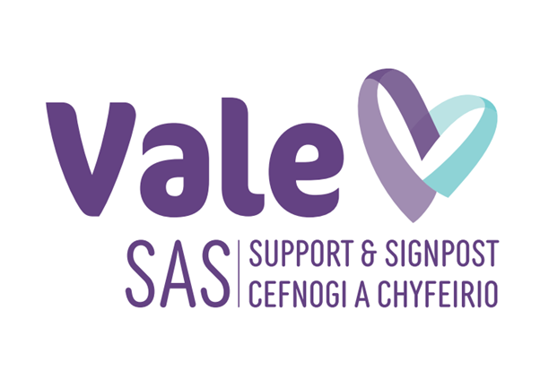 Vale DAS Launches New Community training Initiative to Tackle Domestic ...
